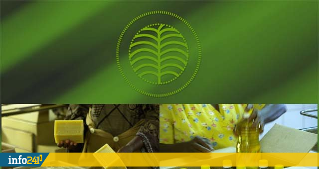 Siat Gabon enregistre une perte de plus de 5 milliards de (...)